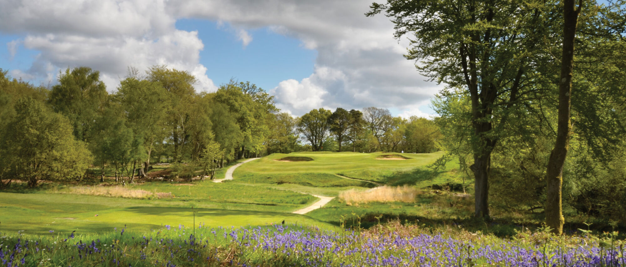 County Card Details :: Hampshire County Golf Union promotes golf not ...